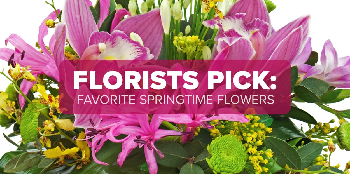 Pick Up Some Gorgeous Spring Blooms - Mancuso's Florist Blog